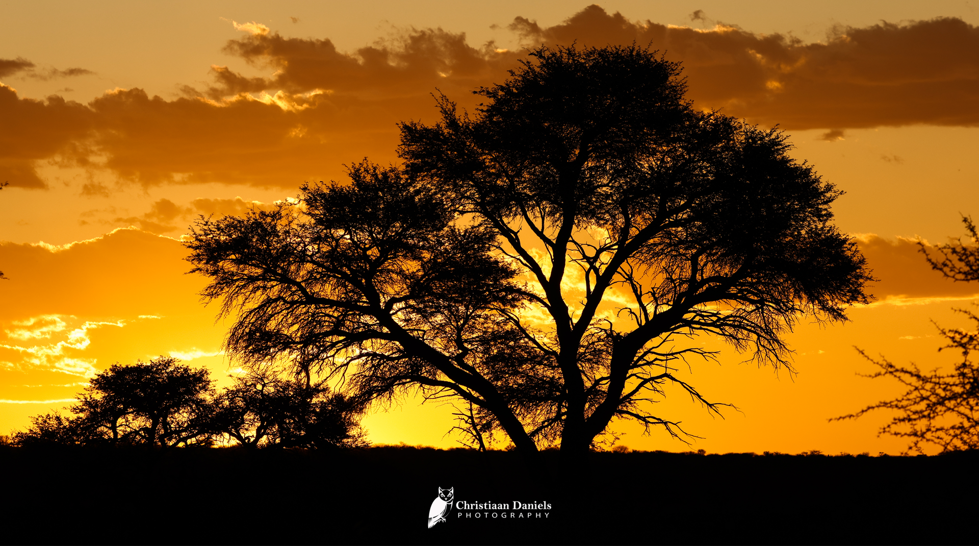 Capture The Day - Outdoor Apparel and Equipment
