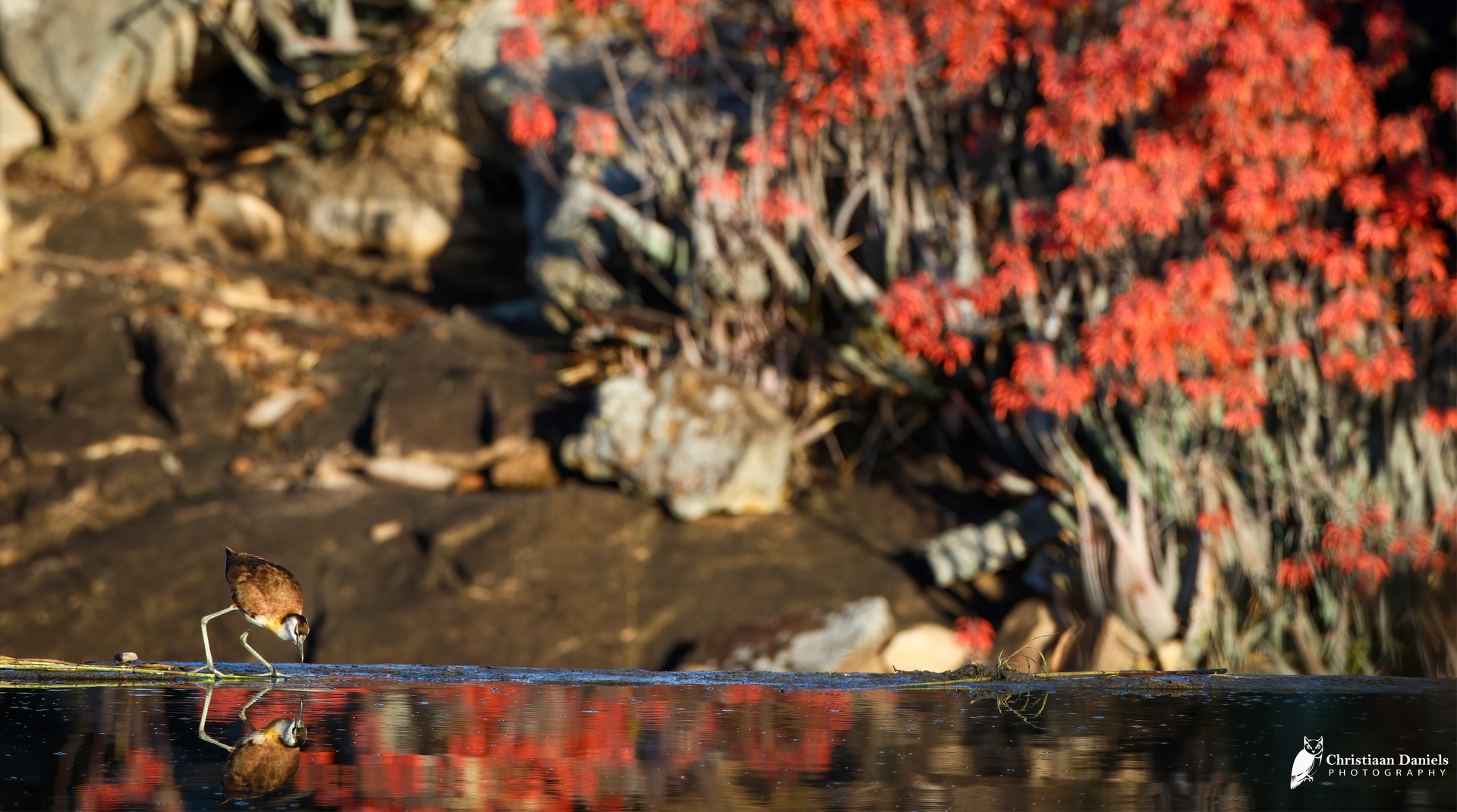 Capture The Day - Outdoor Apparel and Equipment